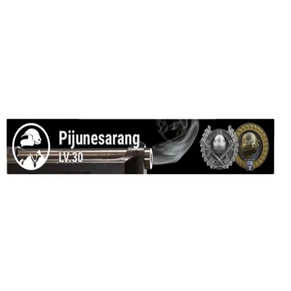 PUBG Skin Gunsmoke ID Card » PUBG Skin CDK/ Code