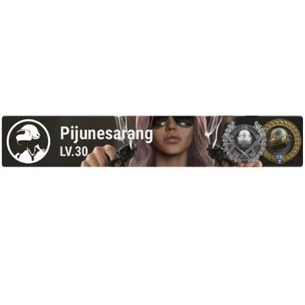 PUBG Skin ID Card Two Smoking Barrels » PUBG Skin Mall