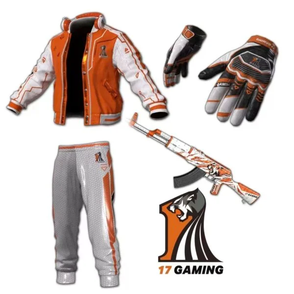 PUBG Skin 17Gaming Set » PUBG Skin Seller